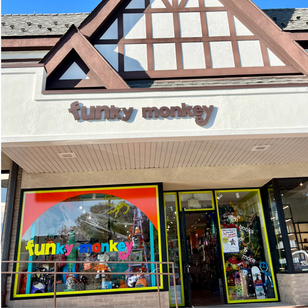 Toy Store NY & CT | Funky Monkey Toys & Books